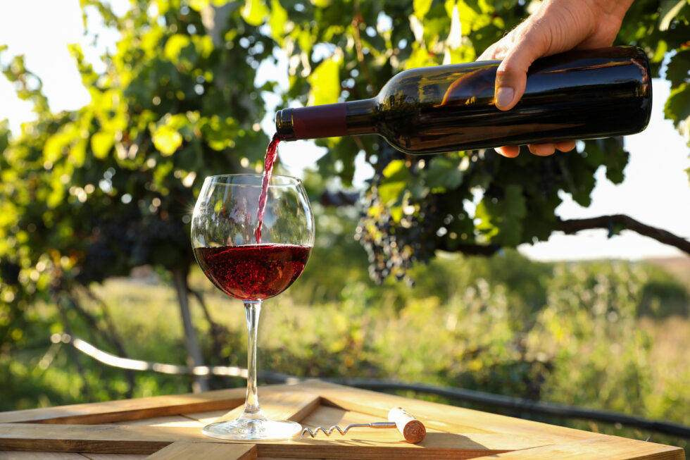 50 Fun Facts About Wine - istoria-wines